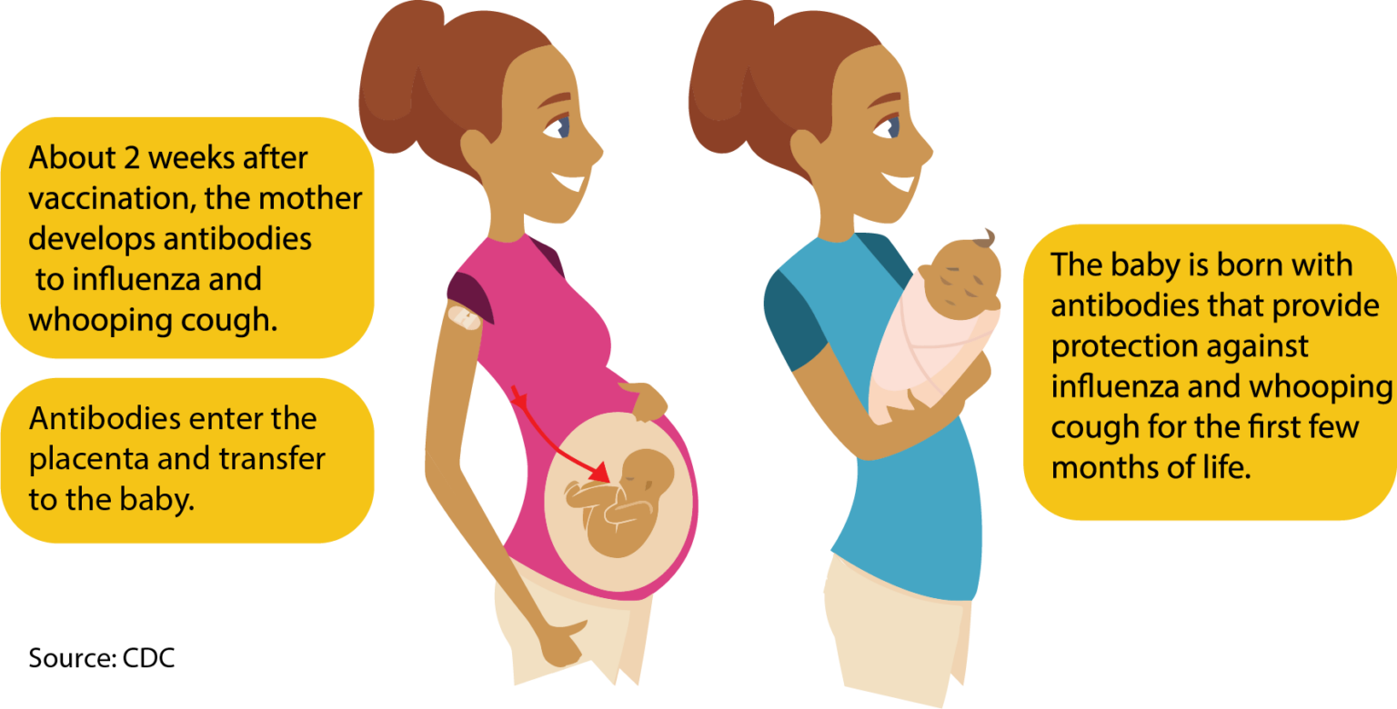 Keeping babies safe: vaccines you need | Voices For Vaccines